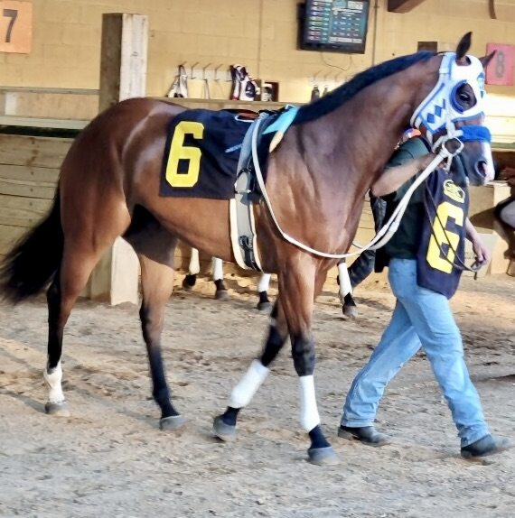Oklahoma Horse Racing Commission Publishes “Unofficial” Updates to ...